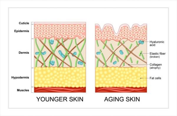 Retinoids: A Focus On The Skin - by Dr Ria Smit